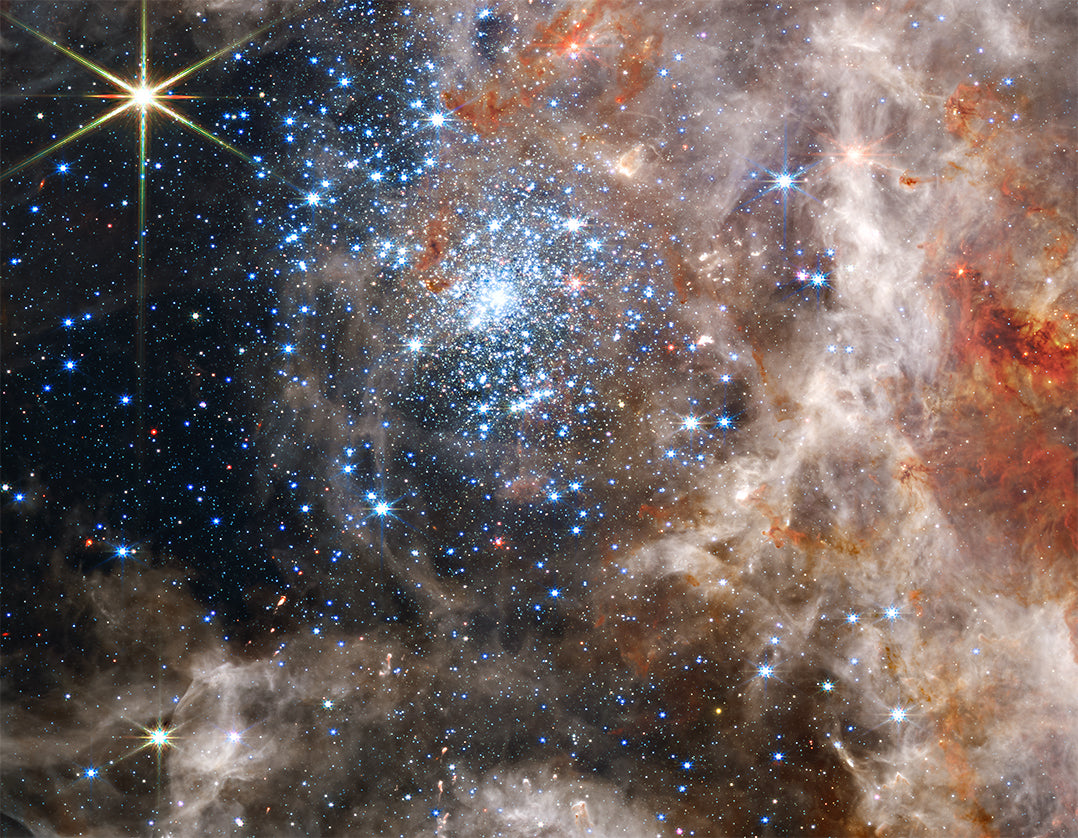 Tarantula Nebula Disc, HS-55 – Miller Engineering